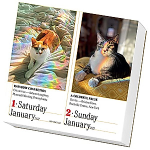 365 Cats Page-A-Day Calendar 2022: The World's Favorite Cat Calendar