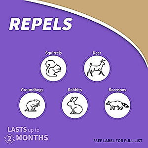 Bonide Repels-All Animal Repellent Granules, 6 lbs. Ready-to-Use Deer & Rabbit Repellent, Deter Pests from Lawn & Garden