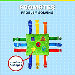 Buckle Toys - Buster Square - Learning Activity Toy - Develop Fine Motor Skills and Problem Solving - Toddler Travel Essential - Educational Classroom Must Have