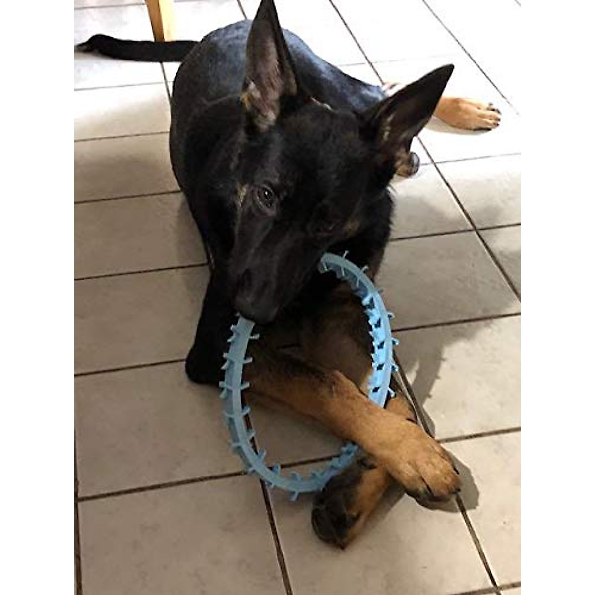 DentapupⓇ Dental Dog Toy Cleaning Teething Chew Ring with Teeth for Medium to Large Breed Dogs - Tartar & Plaque Remover, Gum Massager & Mouth Cleaner for Fresh Breath, Made in USA - Pink