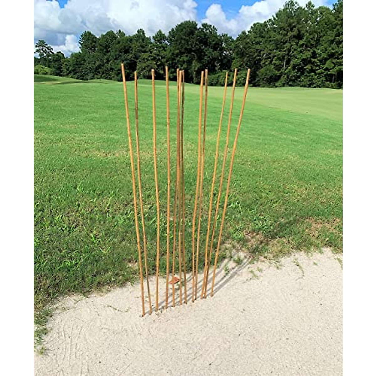 Dlh Western Natural Bamboo Poles, Eco-Friendly Plant Support Garden Stakes 4ft Long, Diameter of 3/8" (25-Count)