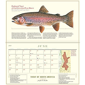 Trout of North America Wall Calendar 2021