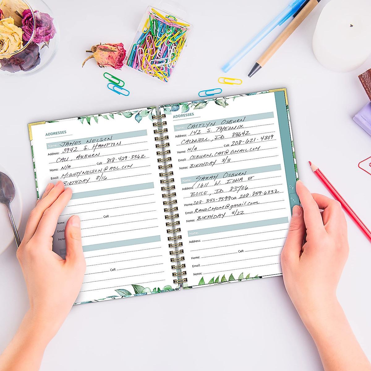 Simplified Greenery Address and Password Book with Alphabetical Tabs - The Perfect Spiral Bound Address Organizer incl. Address Labels, Contact and Phone Section