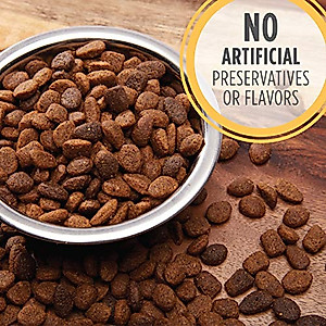 IAMS Smart Puppy Dry Dog Food with Real Chicken, 15 lb. Bag