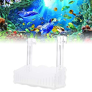 POPETPOP Fish Tank Aquarium Planter Fish Tank Plant Holder Aquarium Planting Cup Transparent Aquatic Plant Cup Aquarium Shelf for Aquarium Home Dorm Store Supplies
