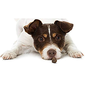 Pet Greens Treats Roasted Chicken Semi-Moist Dog Treat Orange 6 Ounce (Pack of 1)