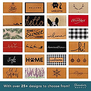 THEODORE MAGNUS Natural Coir Doormat with Non-Slip Backing - 17 x 30 - Outdoor/Indoor - Spring Door Mat - Spring - Hello Sunshine - COIR-1730-15-403