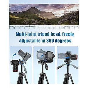 CAMBOFOTO 62"-Camera-Tripod, Lightweight Travel Compatible DSLR/Phone/Camcorder, Aluminum Tri Pod with Holder and Travel Bag. (Black, Weight 2.8Lb, Max Load 4.9 Lb)