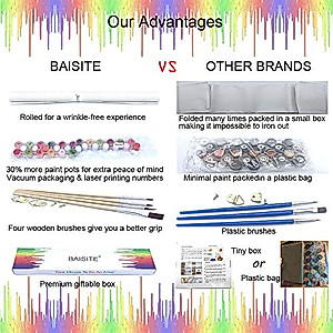 BAISITE Paint by Numbers for Adults Beginners and Kids,16" Wx20 L Canvas Pictures Drawing Paintwork with 4 Pcs Wooden Paintbrushes,Acrylic Pigment Poppy Flowers-BSC012