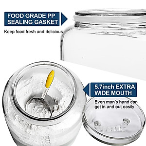 Daitouge 3 Gallon Glass Jar with Lid, 1 Pack Wide Mouth Large Glass Jar with lid, Super Large Cookie Jar for Food Storage, Sugar, Flour, Cookies,Dog Treats
