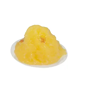 Nasco WA07173 Human Body Fat Replica with Display Base, 1 lb.