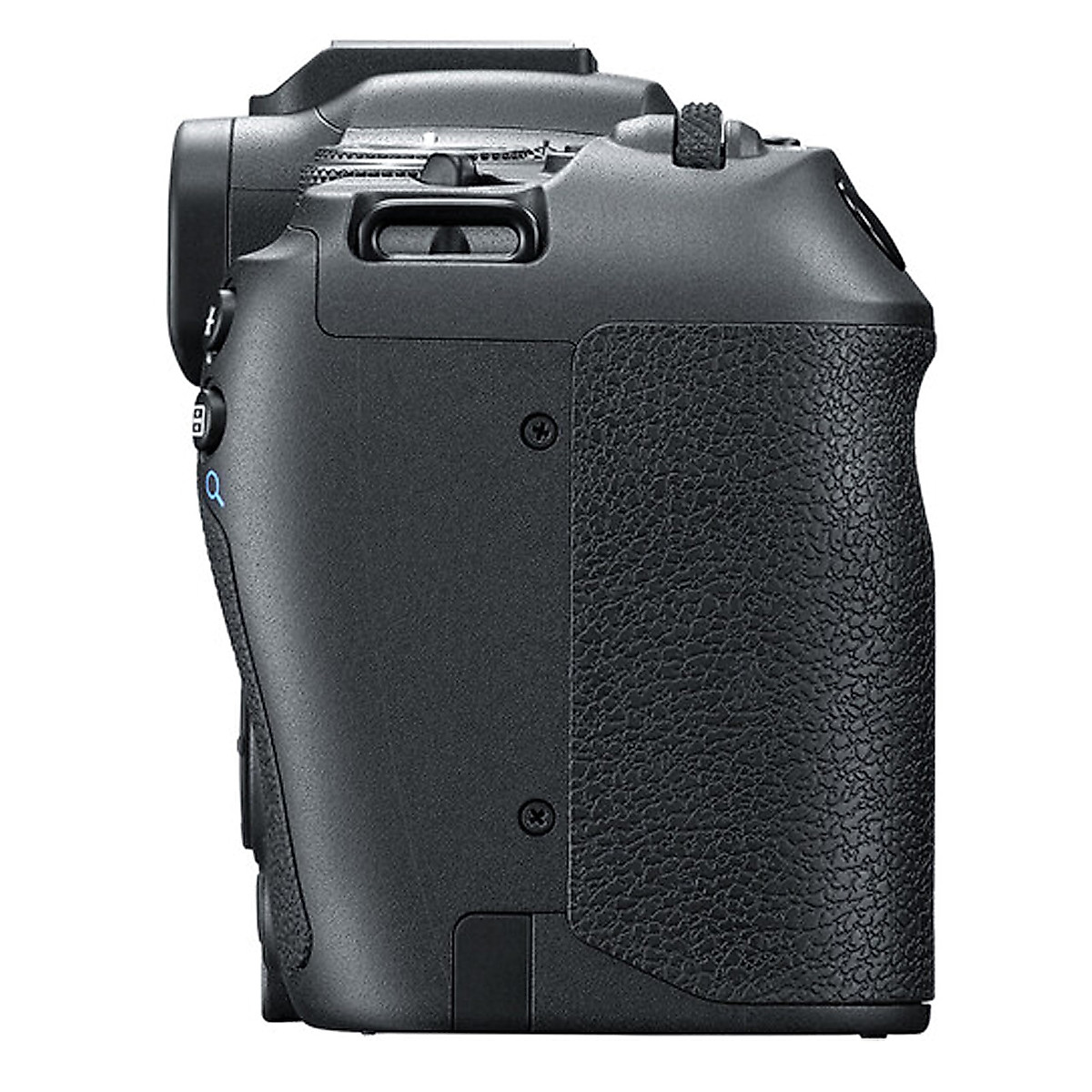 Canon EOS R8 Mirrorless Camera Body + 128GB Pro Speed Memory + EF-RF Lens Adapter + Led Video Light + DME 100 Microphone +Case + Tripod + Software Pack-Video Bundle (Renewed)