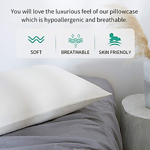 Lofe Organic Cotton Pillow Case - One Pack 16"x 22" Kids Pillow Cover - 300 TC Thread Count - Soft, Safe and Hypoallergenic - Off White