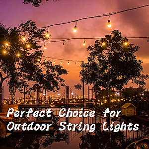 ADIIL 12 PCS String Light Hooks, Q Hanger Hooks with Safety Buckle, Windproof Outdoor Light Hooks for Hanging Patio Lights, Christmas Lights & Plants, 2.2 Inches, Black