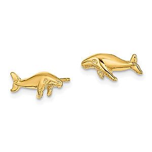 Avariah 10K Yellow Gold Whale Post Earrings - 13.1mm