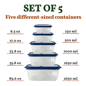 GODAGE 10-Piece Rectangle Food Storage Containers with Vented Lids, Airtight and BPA Free, Stackable, Microwave, Freezer, and Dishwasher Safe (BLUE)