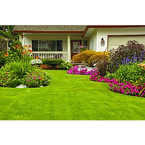 Triple Threat Selective Weed Killer Herbicide for Lawns and Turf - 1 Gallon Jug (Makes 64 Gallons)