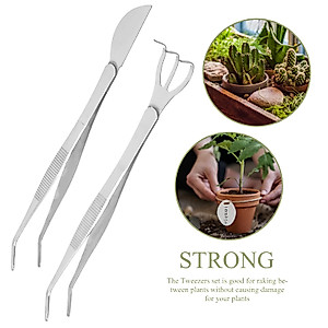 DOITOOL 1 Set Bonsai Tweezers Plating Tweezers Mini Plant Rake Tweezers for Crafts Bonsai Tools Crafts Tweezers Bonsai Tree Tweezers Angled Potted Plant Stainless Steel Moss