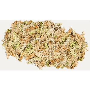 Long Fiber Sphagnum Moss - 500 Gram - 1.4 Lbs
