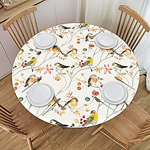Elastic Edged Round Bird Fitted Table Cloth Cover, Home Decorative Tablecloth for Indoor Outdoor Kitchen Party, Fits 40" - 44" Tables, Small