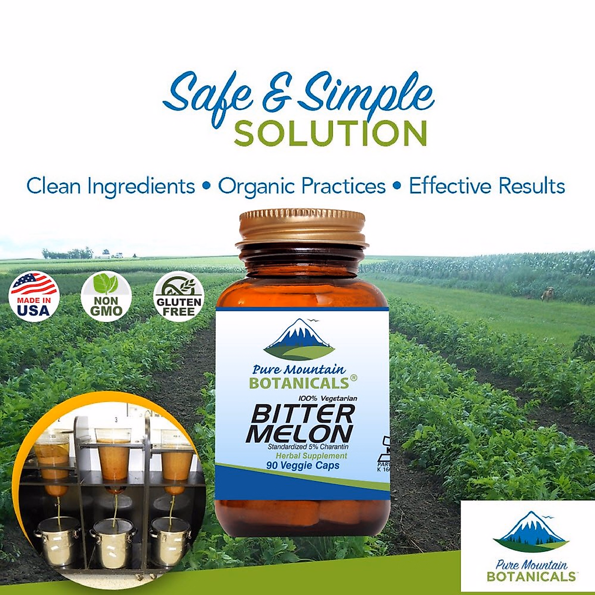 Pure Mountain Botanicals Bitter Melon Capsules - Kosher Vegan Caps with 500mg Bitter Melon Extract Supplement