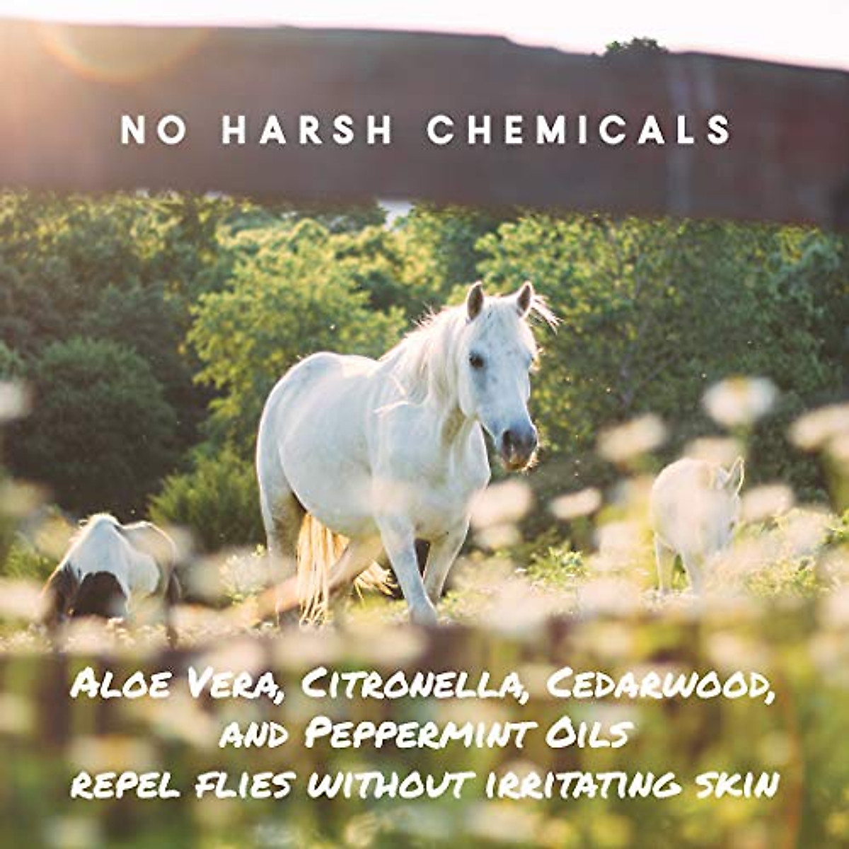 Espree Aloe Herbal Horse Spray | Fly Repellent with Aloe, Sunscreen, and Coat Conditioners | Promotes a Healthy Coat and Protection from The Sun | 32 oz Ready to Use