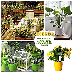 Soil Moisture Meter 4 in 1,Plant Water Monitor,Automatically detect Moisture/Temperature/Light/Fertility,Can Connect to Mobile Phone via Bluetooth,Hygrometer Sensor for Indoor Plants (1pc)