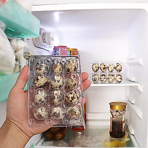 KUKLIPJIM 200 Pack Quail Egg Cartons, Clear Plastic Quail Egg Trays, Holds up to 12 Quail Eggs Securely - Your Ultimate Small Eggs Carton Holders for Bulk Storage and Display