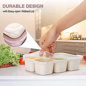 Ylebs 5 Compartment Bento Lunch Box,Reusable Meal Prep Containers,BPA-Free Stackable Divided Food Storage Container,for School, Work, and Travel, Dishwasher Safe,Set of 4