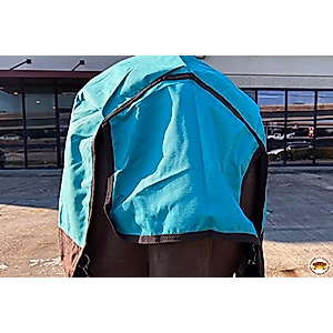 HILASON 1200D Turnout Light Winter Waterproof Rain Sheet Horse Sheet | Horse Sheet | Horse Turnout Sheet | Horse Sheets for Winter | Waterproof Turnout Sheets for Horses