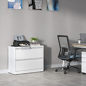 BIZOEIRON 2 Drawer File Cabinet and 2 Drawer File Cabinet with Lock, White