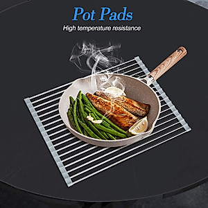 Dish Drying Rack, 2 Pack Roll up Drying Rack, Foldable Utensil Plates Holders, Multipurpose Over Sink Dish Rack Rustproof Silicone Dish Drainers Heat Resistant Mat for Kitchen(18.5x13.8inch)