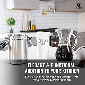 Bean Envy Coffee Canister - 22.5 oz Coffee Storage Container and Organizer w/ Stainless Steel Scoop, Date Tracker & Co2-Release Valve - Essential Coffee Accessories, Blue