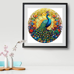 EIBEILI Diamond Painting Kits for Adults Mandala Peacock DIY 5D Diamond Art Kits for Beginners Full Drill Diamond Dots Crystal Craft Kits for Home Wall Art Bedroom Decor Gifts 11.8x11.8 inch