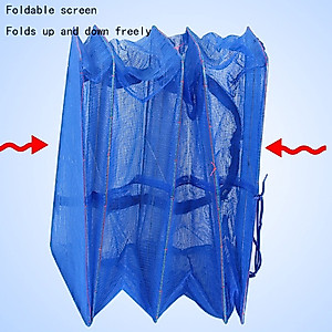HHKTY Blue Drying Rack 3 Layer Hanging Drying Net Folding Fish Mesh with Zippers Non Toxic Nylon Dry Cage(Size:50x50x65cm,Color:Blue)