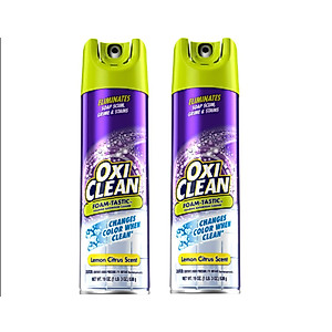 OxiClean Foam-Tastic Bathroom Cleaner 19oz. (2-Pack)
