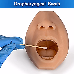SimCoach Nasal Swab, Throat Swab Test Training Model, Swab Collection Simulator, Saliva Oral Swab, Acupuncture, Puncture Practice Model (Brown)