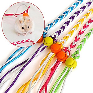 UEETEK Adjustable Hamster Harness Leash and Collar Walking for Hamster Cricetulu Rat Mouse Squirrel Small Pets Flexible Handle Rope 2M (Random Color)