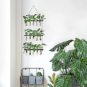 XXXFLOWER Wall Hanging Propagation Station with Wooden Stand 5 Glass Test Tubes 3 Tiered Planters Wall Terrarium for Home Office Plant Hanger Flower Vases Wall Decor Hydroponic Cuttings