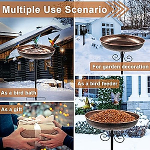 OUISJYER Small Metal Bird Baths for Outdoors, 10" Dia Bowl with Stake Birdbaths Garden Yard Lawn Decor Brown