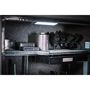 Lockdown Silica Gel, 750 grams