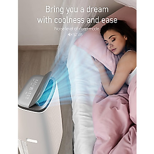 DEXSO Portable Air Conditioner 14,000BTUs, A/C for Rooms up to 750 Sq. Ft, Built-in Dehumidifier, Fan, and Sleep Mode, Includes Remote Control, Reusable Filter, and Window Kits