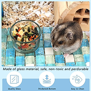 2 Pcs Hamster Food and Water Bowl Glass Anti-Turning Transparent Dish for Hamster and Other Small Pet