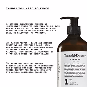 TRIUMPH & DISASTER | Shampoo, Deep Cleansing - Soothes & Hydrates Sensitive, Dry and Damaged Hair & Scalp with Keratin for Men & Women, 16.9 fl oz