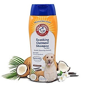 Arm & Hammer for Pets Soothing Oatmeal Pet Shampoo | Nourishing and Moisturizing Dog Shampoo with Gentle Cleansing formula | Vanilla Coconut Scent, 20 oz Bottle Shampoo for Pets