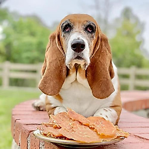 Green Butterfly Brands Chicken Jerky - Dog Treats Made in USA Only - 1 Ingredient: USDA Grade A Chicken Breast - No Additives or Preservatives - Grain Free Snack, All Natural Premium Strips, 8 Ounces