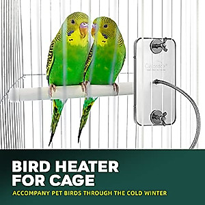 Colorday Bird Cage Heater Newly Upgraded Birds Warmer to Snuggle up for Parrots, Stainless Steel 5V USB 4"x7"