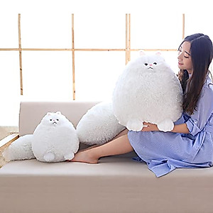 Winsterch Stuffed Animal Plushie Cat Stuffed Animal,Cute Soft Plush Cat Animals,White Stuffed Cat,Birthday Christmas Valentines Gifts for Kids,Boys,Girls,Fat Cat Plush Stuffed Toy (White, 10 Inches)