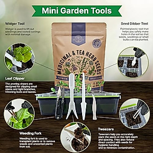 35 Medicinal & Tea Herb Seeds Variety Pack for Indoor & Outdoors. 16,300+ Non-GMO Heirloom Garden Seeds: Anise, Bergamot, Borage, Cilantro, Chamomile, Dandelion, Rosemary Seeds & More