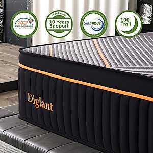 DIGLANT TwinXL Mattress, 14 Inch Plush Memory Foam Hybrid Mattress with Individually Pocket Coils for Pressure Relief,Balanced Support, TwinXL Size Mattress in Box, Motion Isolation